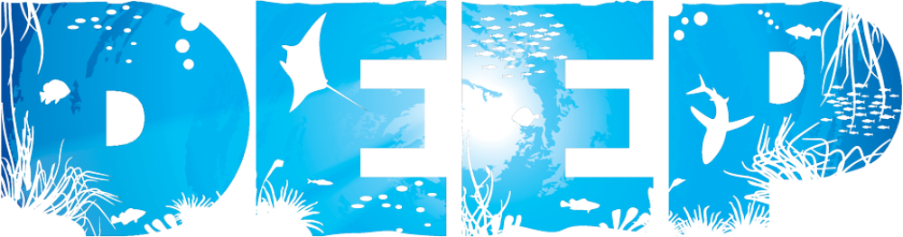 Nouveauté | 787 T-shirts Homme | RueDuTeeShirt.com